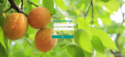 Java毕设项目社区生鲜电商平台（javavuemybatismavenmysql）java生鲜电商平台 Csdn博客