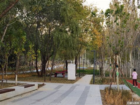 体育运动 北京温榆河公园 罐头图库