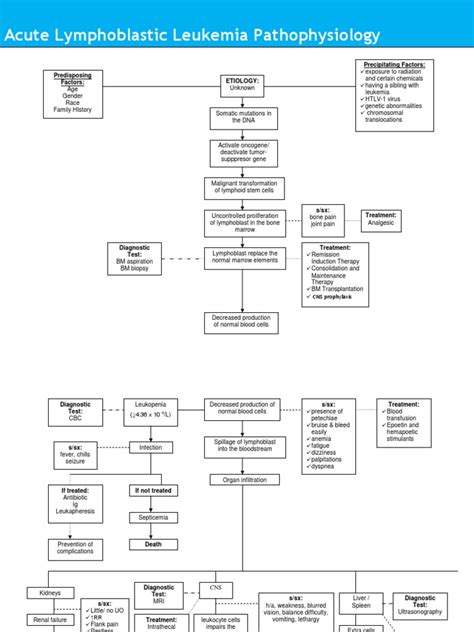Diagram Practical Acute Myeloid Leukemia Diagram Mydiagramonline