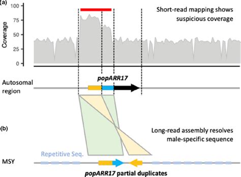 Whole‐genome Sequencing And Genome Regions Of Special Interest Lessons From Major