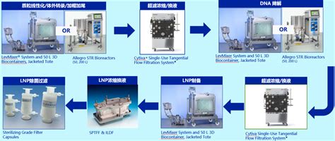 浅析mrna疫苗的工艺流程 知乎