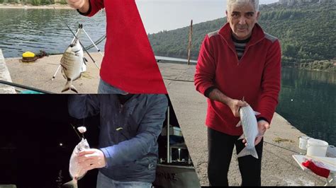 ΤΟ ΖΥΜΑΡΙ ΟΙ ΣΑΡΓΟΙ ΚΑΙ ΤΟ ΦΕΓΓΑΡΙ Youtube