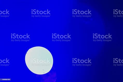 레이저 조명과 디스코 조명에서 파란색 보케와 흐릿한 배경 0명에 대한 스톡 사진 및 기타 이미지 0명 Film Festival 나이트클럽 Istock