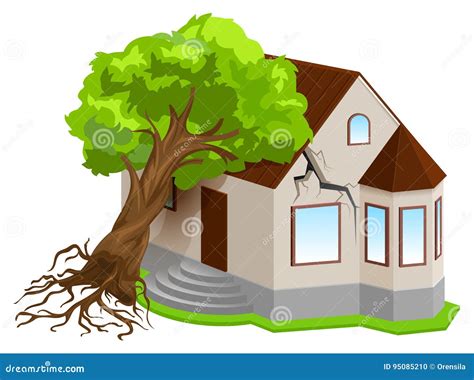 Property Insurance Against Natural Disasters Earthquake Tree Fell On