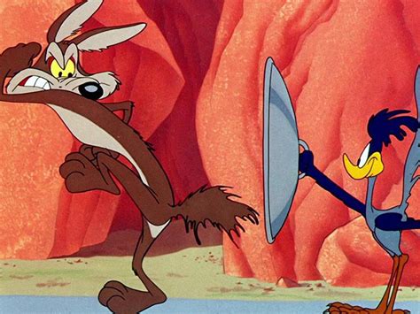 Looney Tunes Film Starring Wile E Coyote And John Cena Saved Daily Telegraph