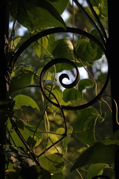 Sacred Geometry On Tumblr