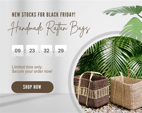 20 Black Friday Popup Examples That Convert Leads Into Sales Poptin Blog