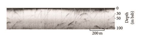 Reflectors Recorded With Sea Bottom Portable Profiler Edgetech