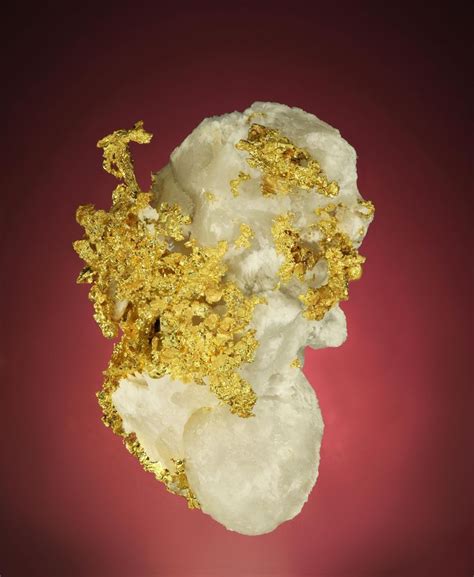 Native Gold On Quartz Natural Gold Specimen Kenton Mine Alleghany