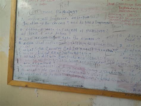 Assignment Pathology Write All Lymph Node Enlarged And Location Of The C