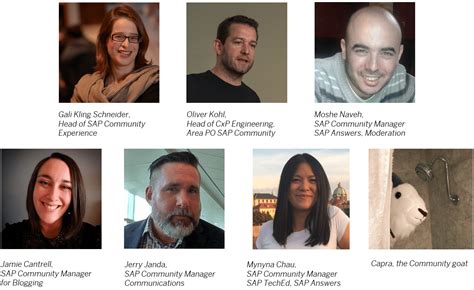 SAP Resource Classification SAP Blogs Chemical