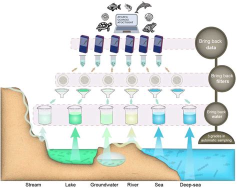 水生所关于环境dna监测技术标准化、自动化及应用取得新进展 生物通