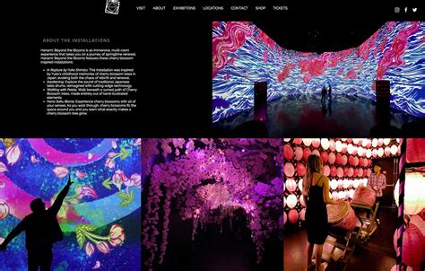 Artechouse Interactive Hanami Exhibit Yuko Shimizu