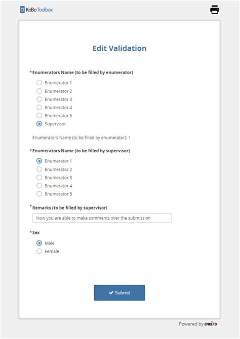 Record Validation Post Submission Data Management Kobotoolbox