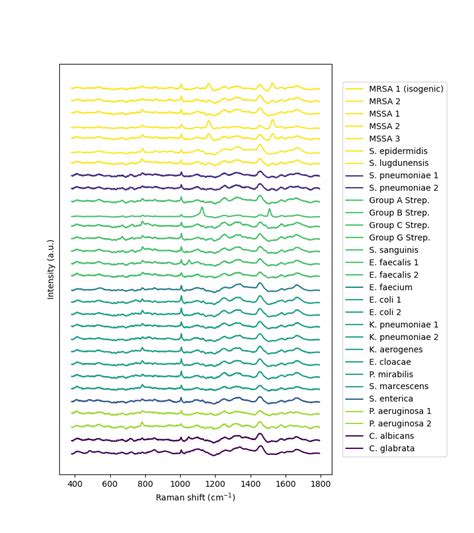 Bacteria Classification Ramanspy