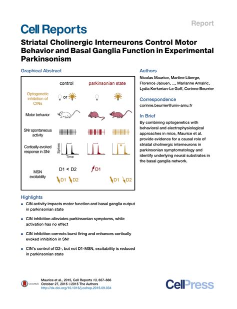 Pdf Striatal Cholinergic Interneurons Control Motor Behavior And