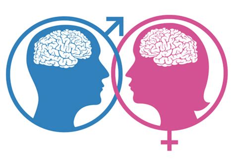 Viewpoint We Cant Ignore Scientific Evidence About Male Female Brain Differences Genetic