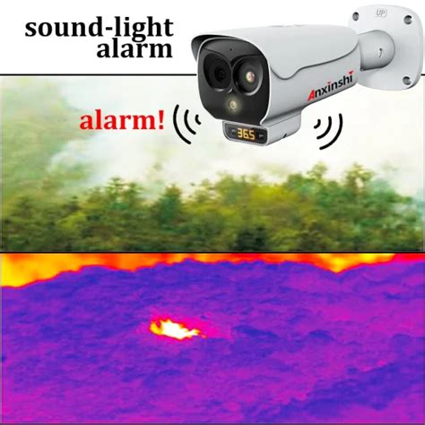Temperature Detection Human Detection Vehicle Detection Fire And Smoking Detection Alarm Ai