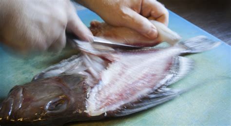 Sex Drugs And Sausage Rolls Franklin Photo