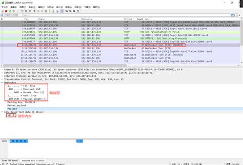 Websocket 协议原理抓包分析 阿里云开发者社区