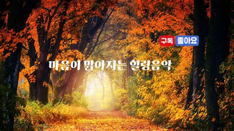 마음이 맑아지는 힐링음악 연속듣기광고없음🎵healing Music That Clears Your Mind Youtube