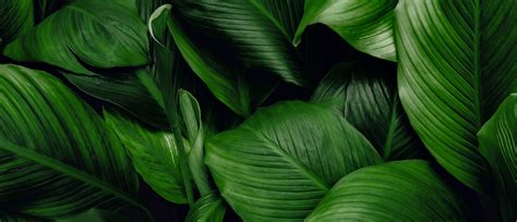 Techreg Chronicle® Sustainable Technology And The Environment