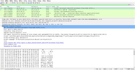 《计算机网络自顶向下》wireshark实验 Lab2 通过检查数据包内容窗口中的原始数据您是否看到数据中没有显示在数据包列表窗口