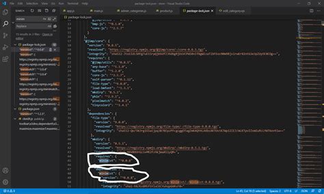 express node js minimist security issue even with v1 2 5 stack overflow