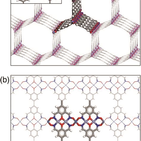 Computationally Generated Models Of The Idealized Metalligand Network
