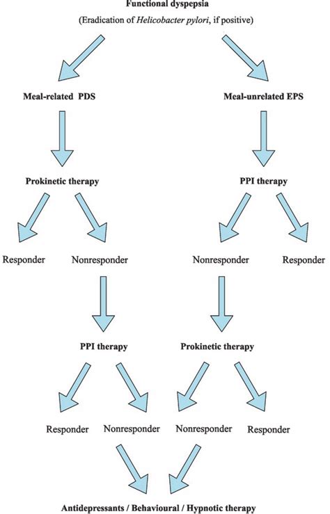 2 Treatment Algorithm For The Management Of Functional Dyspepsia In The