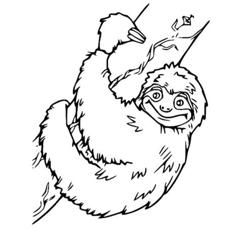 나무늘보 색칠 공부 Kr에서 무료 색칠 공부