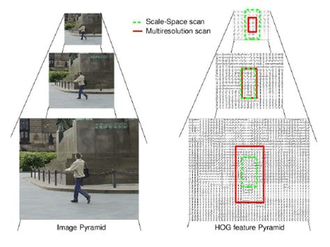 hog feature pyramid it is used for both scale space search green download scientific diagram