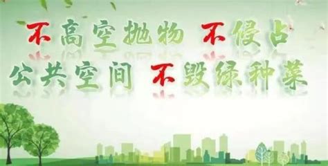 【文明市民21天养成】第12天：不高空抛物 不侵占公共空间 不毁绿种菜澎湃号·政务澎湃新闻 The Paper