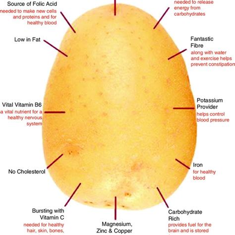 Percent Fat Content Of Raw Potato Vis A Vis Other Plant Foods Download Scientific Diagram