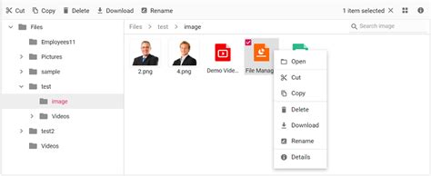 user interface in vue file manager component syncfusion