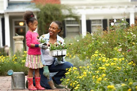 What Is An Rrsp And How Does It Work