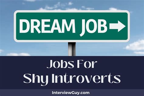 25 Jobs For Shy Introverts Solitude Embracers Path