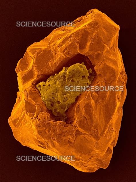 Micrometeorite Sem Stock Image Science Source Images