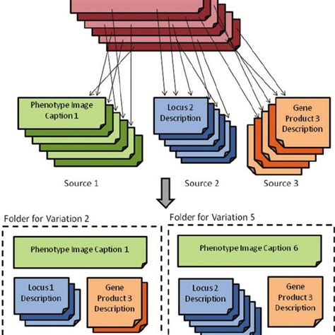 Flow Chart For Search Engine Retrieval From Query Processing To
