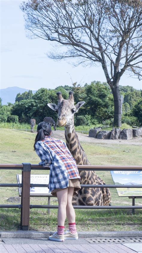 椿野ゆうこひめもすオーケストラ214火1st写真集発売決定㊗️🍫 On Twitter 彼女がキリンと会話なうに使っていいよ🦒