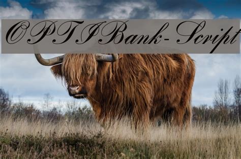 OPTIBank Script Font FFonts Net