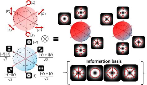 High Dimensional State Space Of Single Photon Hybrid Modes Download Scientific Diagram