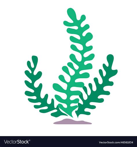 Seaweed Coral And Sea Grass Flat Design Royalty Free Vector