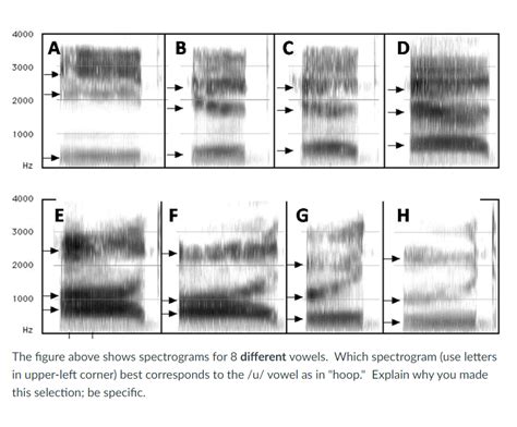 The Figure Above Shows Spectrograms For 8 ﻿different