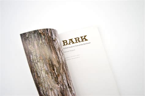 Bark A Field Guide To Trees Of The Northeast