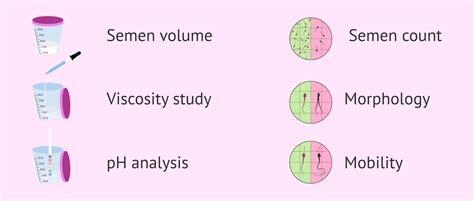 Semen Analysis Test