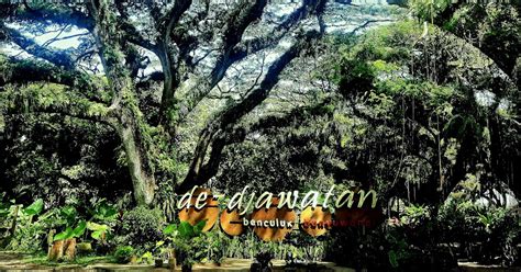 Hutan Wisata De Djawatan Benculuk Banyuwangi