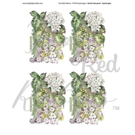 Flower Of The Month Hydrangea Highlight Crafts