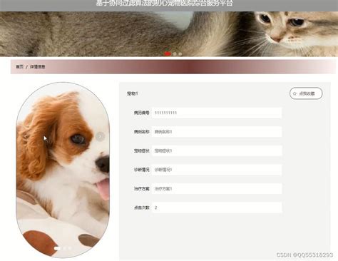 Python毕业设计基于django的宠物医院综合服务平台 挂号购物django开发宠物医院小程序 Csdn博客
