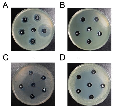 Screening And Functional Analyses Of Novel Cecropins From Insect Transcriptome
